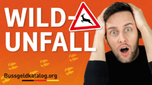 Wildunfall: Was tun? Wer zahlt? Inkl. wichtiger Tipps